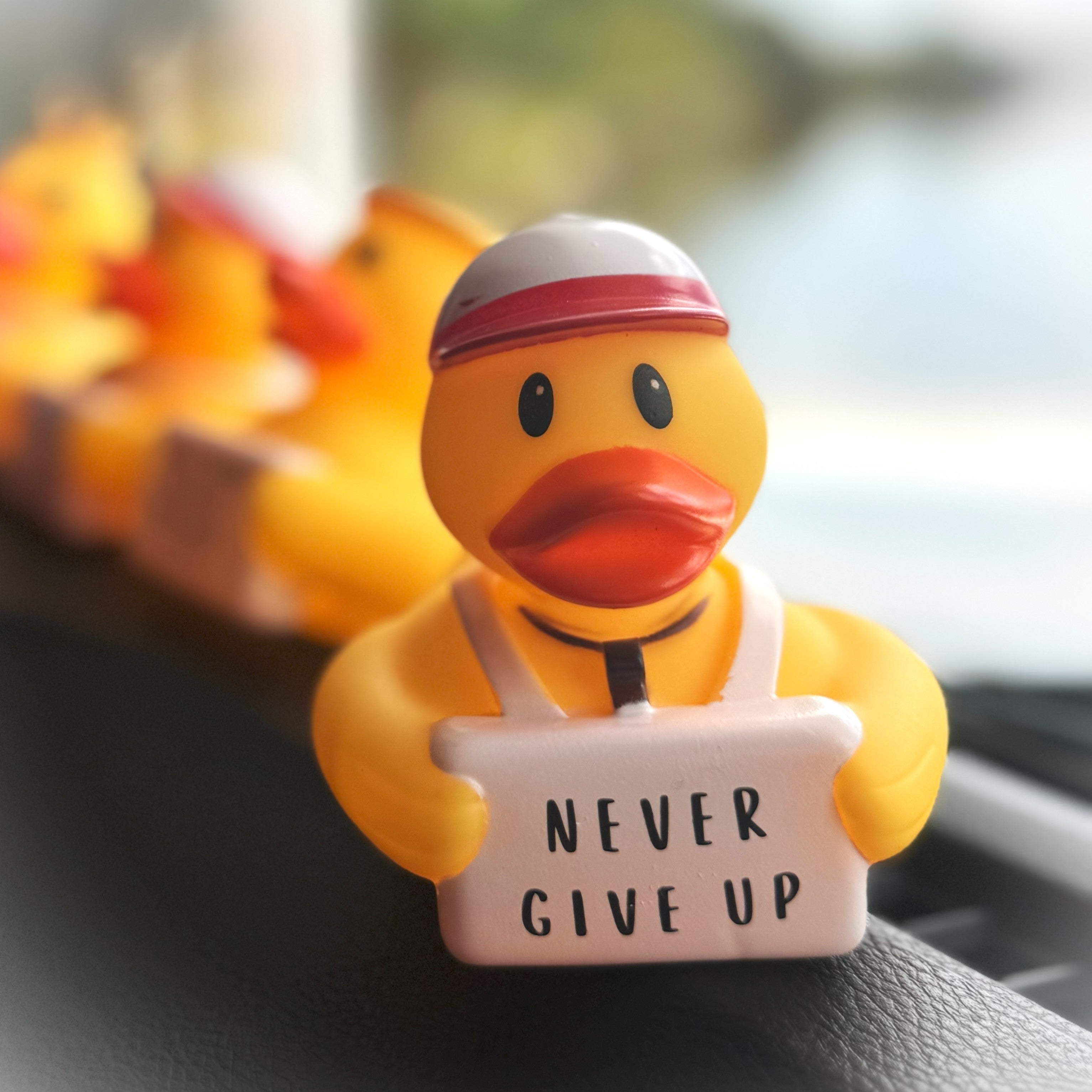 Never Give Up - Coach Quack (Collector's 1st Edition) – Inspiration Co.